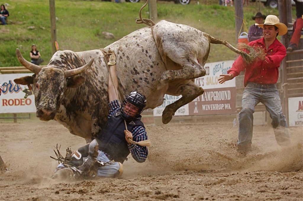 Experience Rodeos And Ranches In Washington