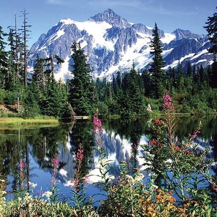 Your Guide To Washington State Travel | State Of WA Tourism