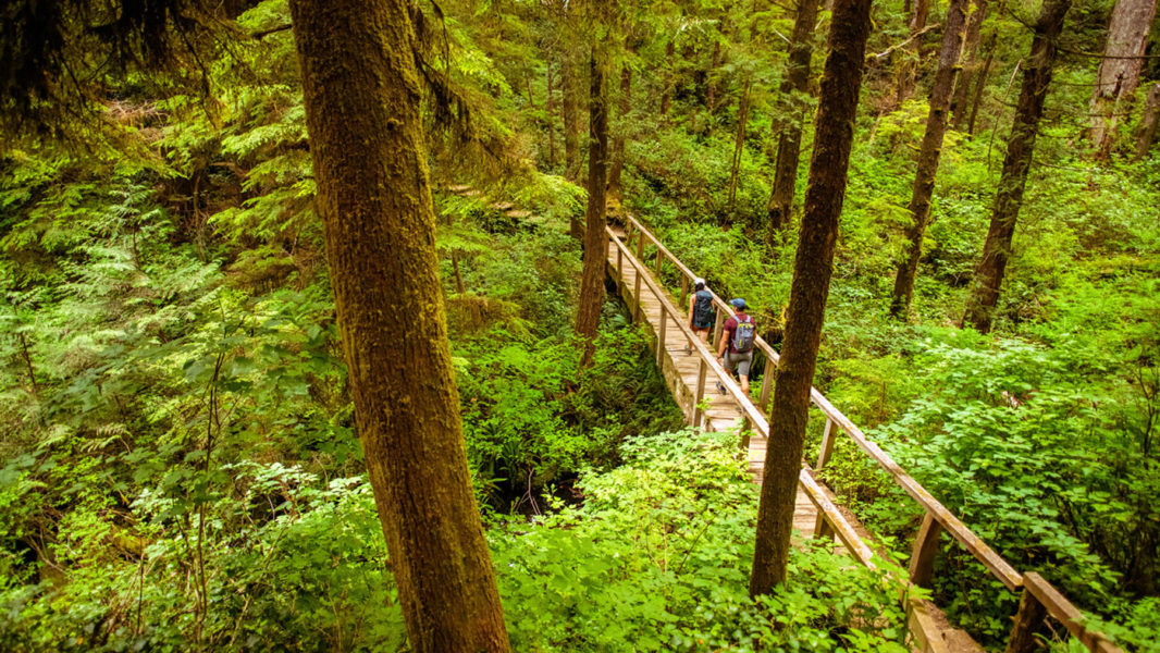 Places to Visit in Washington State: Vacation Spots