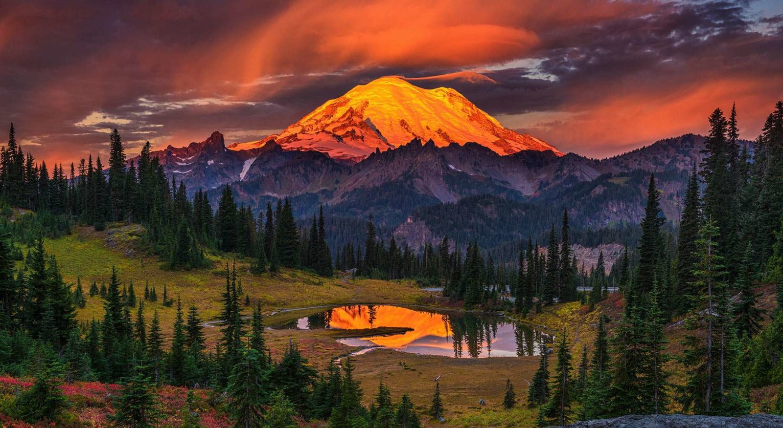 Discover The Natural Wonders of Washington National Parks