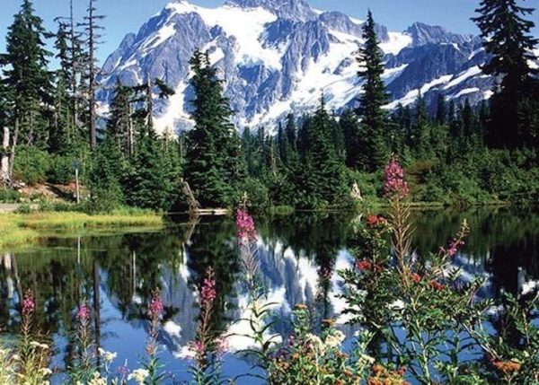Discover Scenic Drives in Washington on Your Next Visit