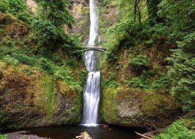 Discover Scenic Drives in Washington on Your Next Visit