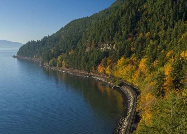 Discover Scenic Drives in Washington on Your Next Visit