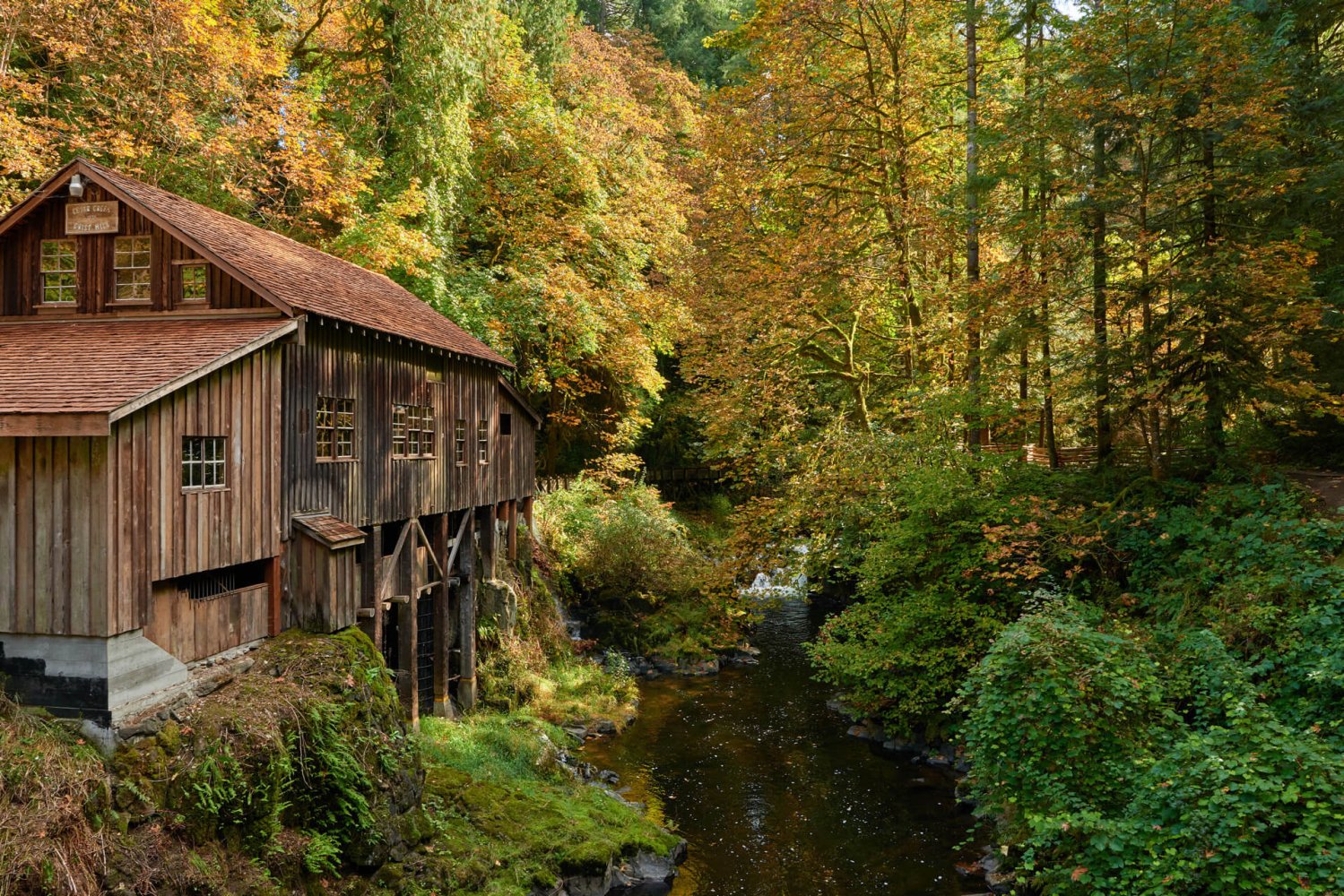 Experience Fall in Southwest Washington
