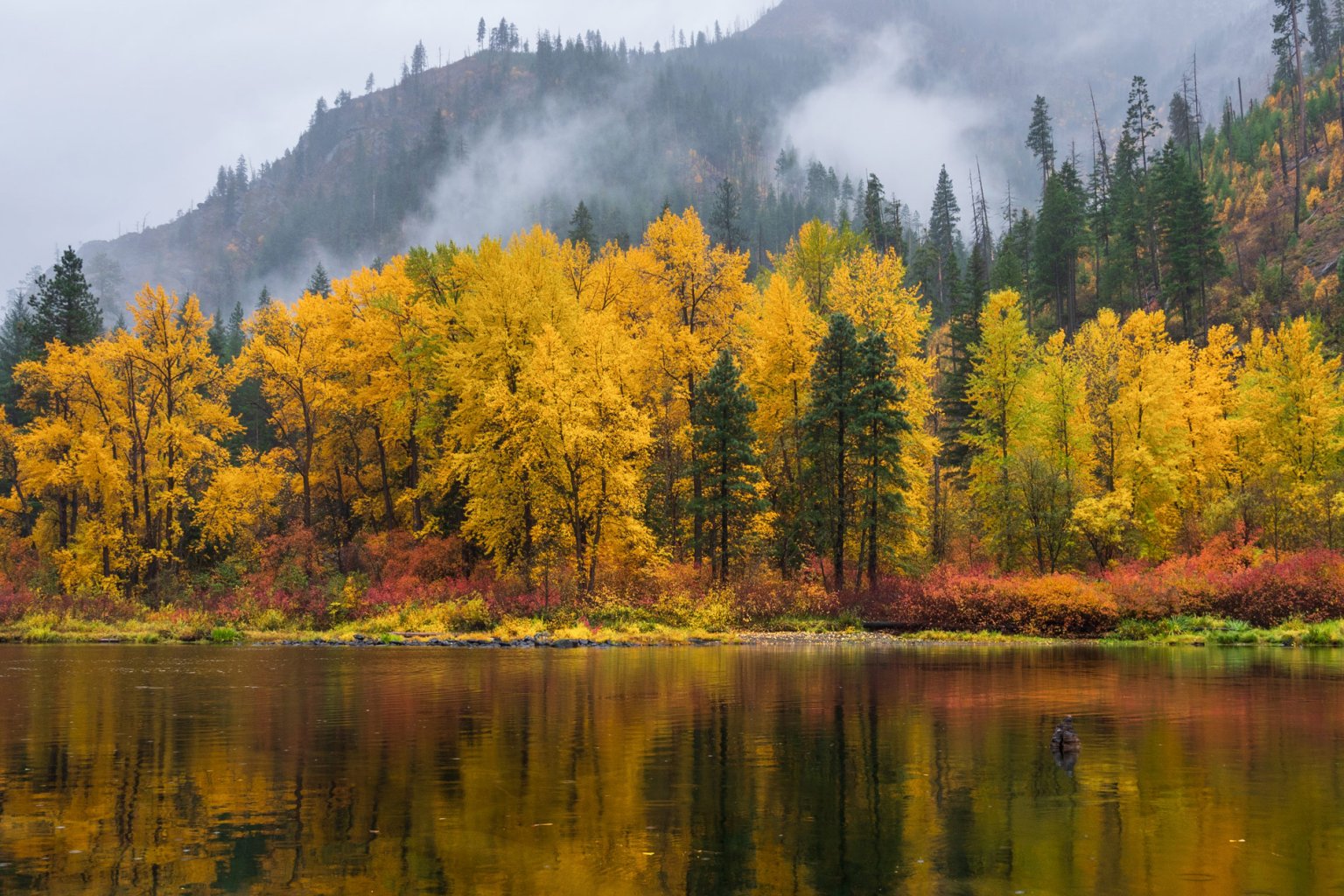Fall Colors in Washington State and Scenic Fall Drives