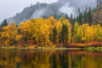 Fall Colors in Washington State and Scenic Fall Drives