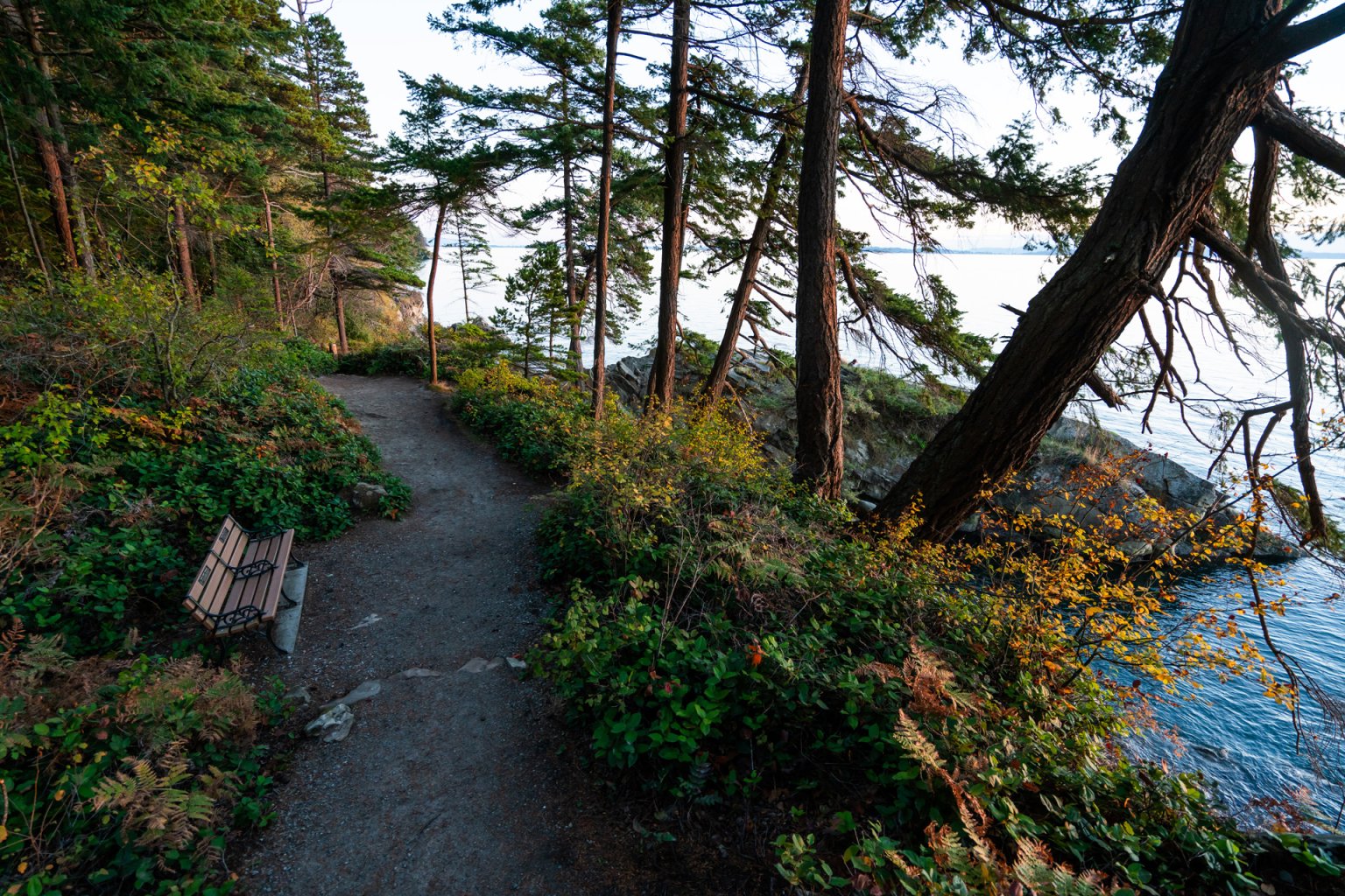Chuckanut Drive: The Amazing Chuckanut Drive Scenic Byway