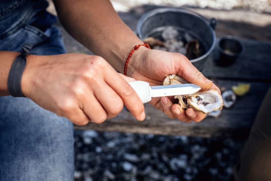 Guide to Shellfish Harvesting in Washington: Oysters & More