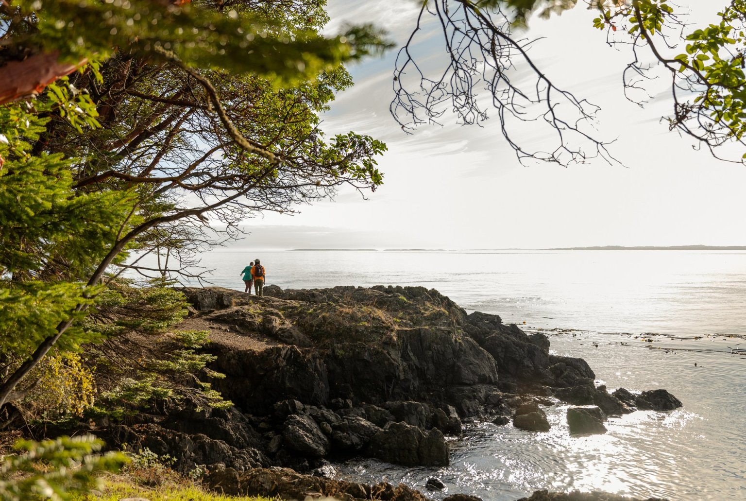 Visit These Washington Coast Beach Towns in Washington State