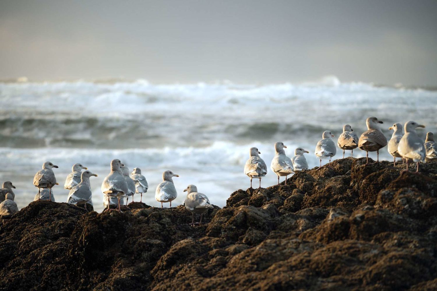 Where to Go Storm Watching in Washington State