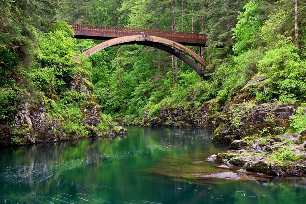 Discover Scenic Drives in Washington on Your Next Visit