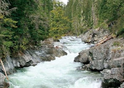 Discover Scenic Drives in Washington on Your Next Visit