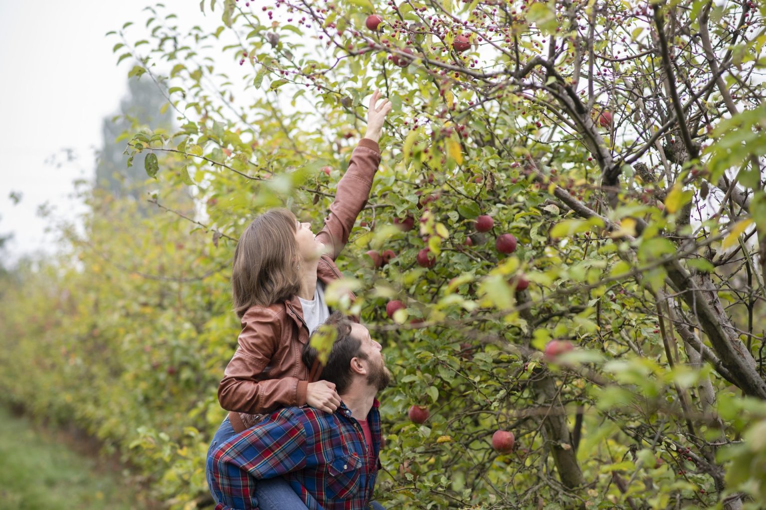 Apple Cider Tasting: Sip The Best Cider in Washington State