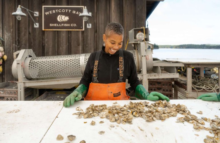 Guide to Shellfish Harvesting in Washington: Oysters & More