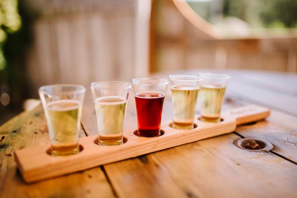Apple Cider Tasting: Sip The Best Cider in Washington State