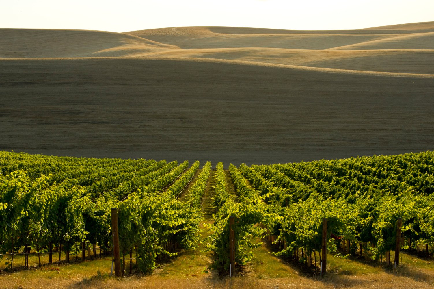 Visit Washington State | Washington State Tourism