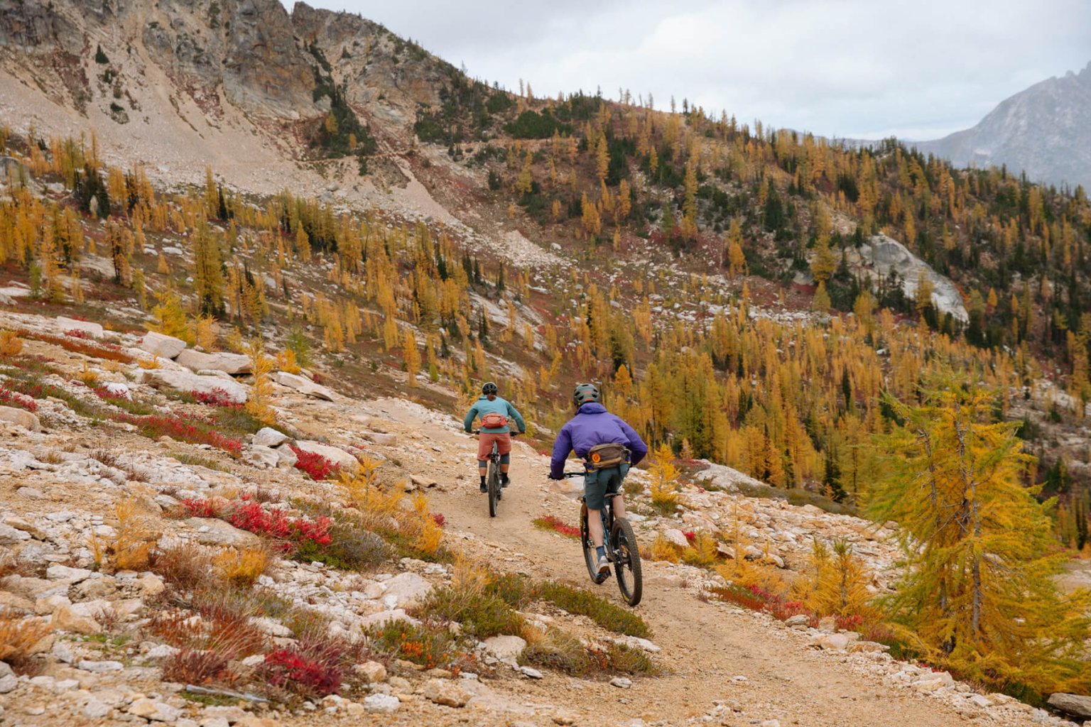 Visit Washington State and Start Planning Your Trip Here