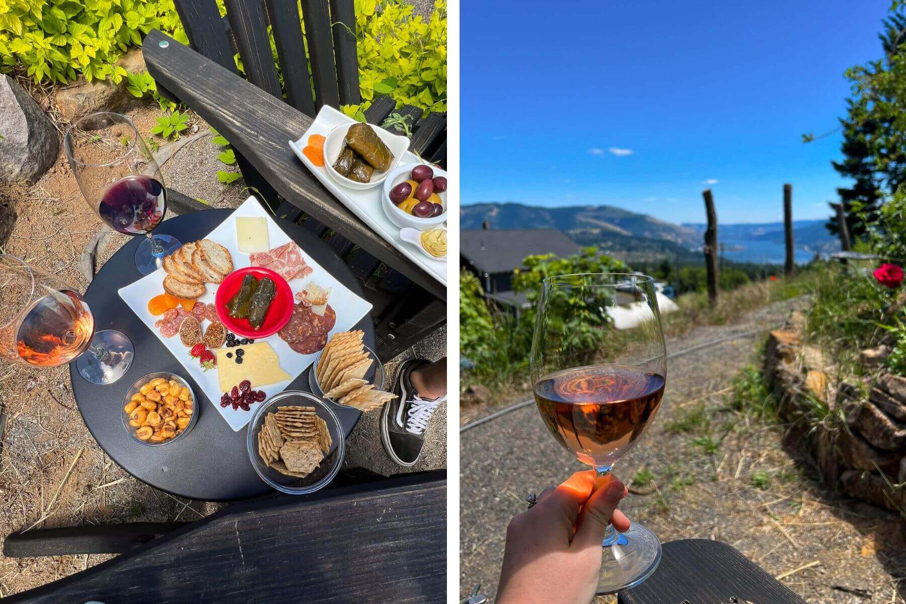 Take a Dog Friendly Road Trip to the Columbia River Gorge Washington Side