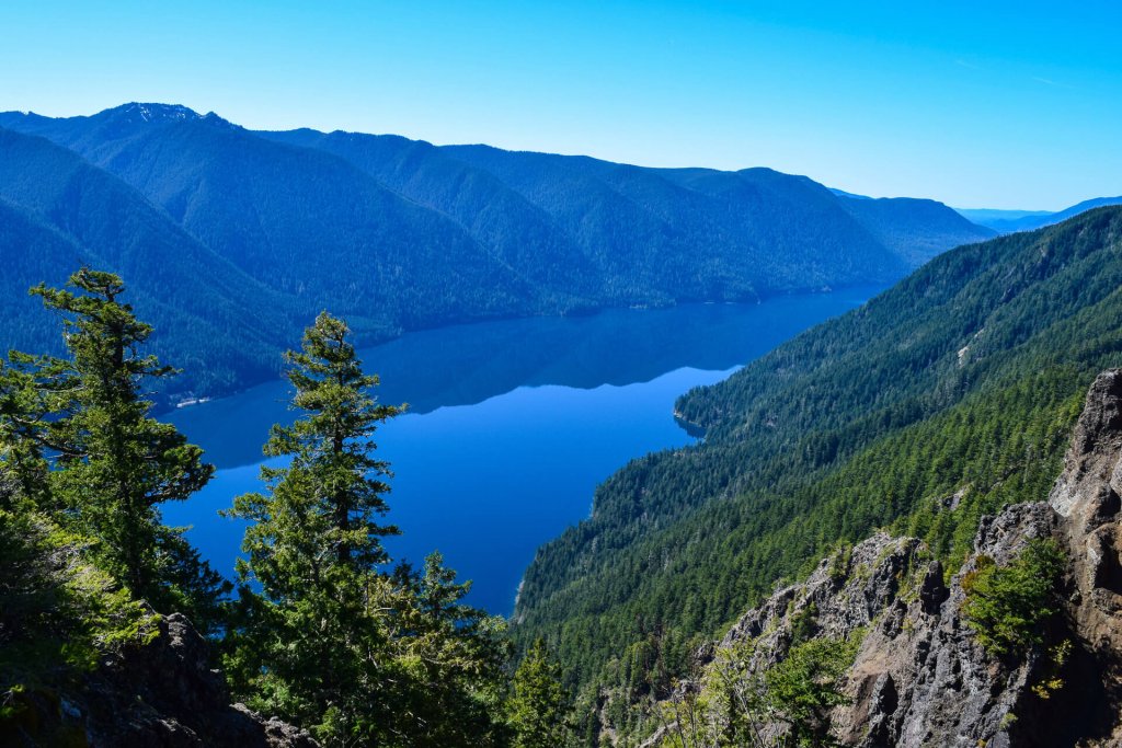 Olympic National Park Trails: Explore These Less-Visited Hikes