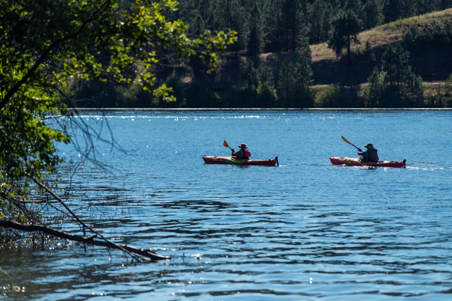 Explore The Best Kayaking in Washington State