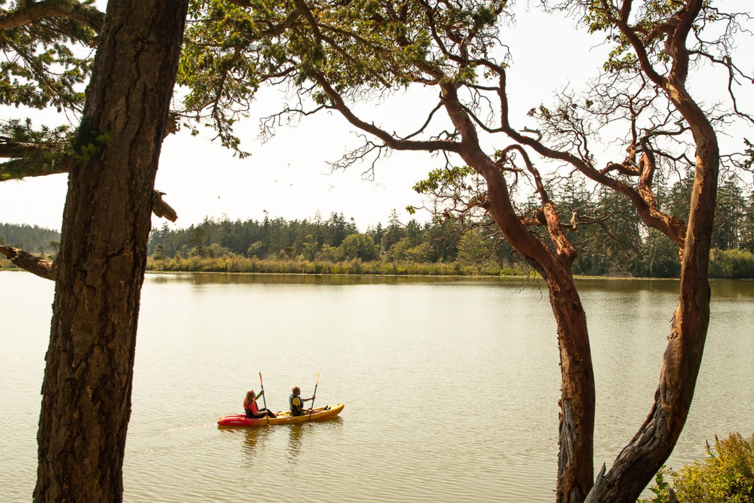 Complete Guide to Deception Pass State Park: Things to Do in Deception Pass