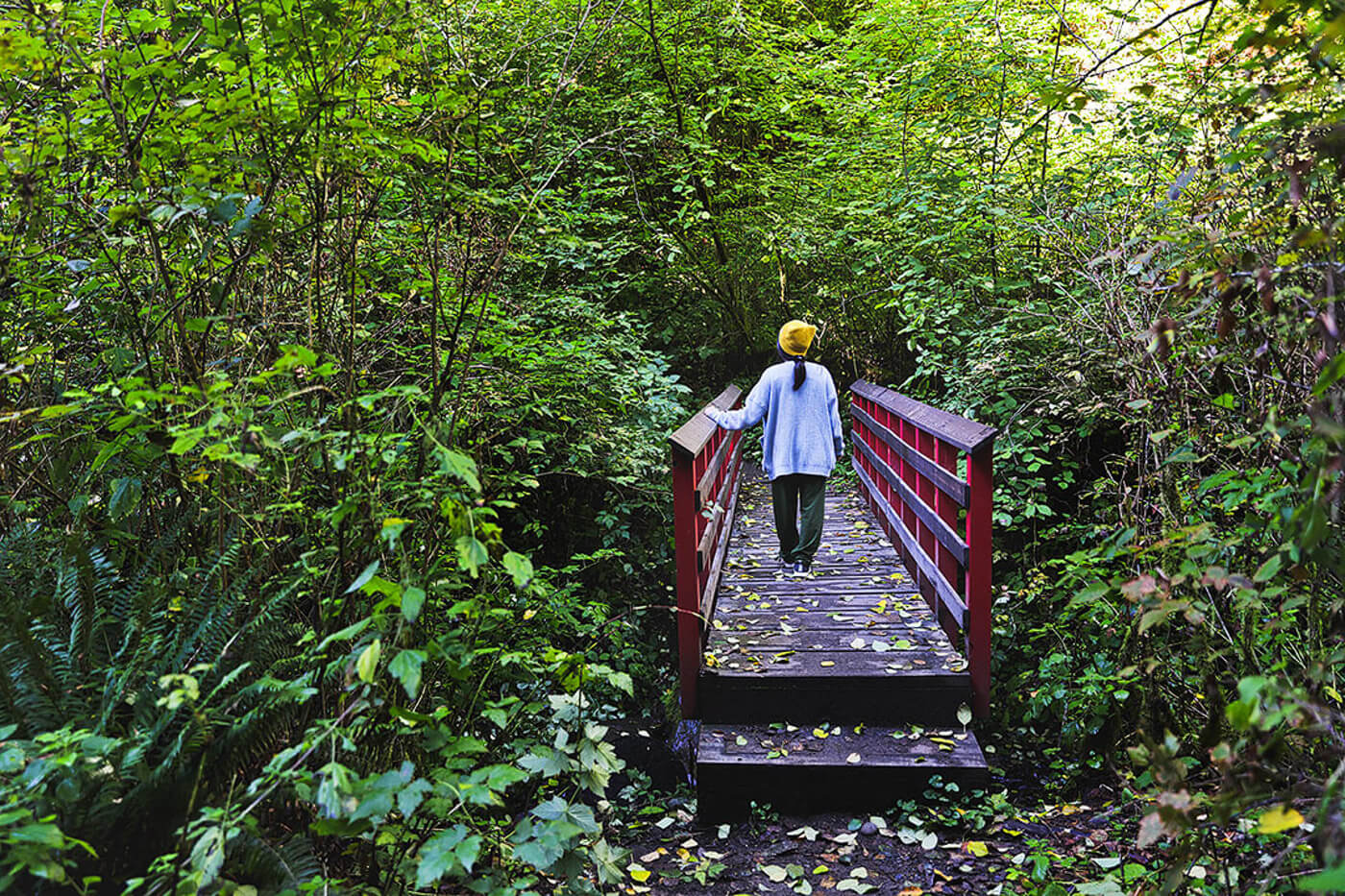 3 Scenic Seattle Ferry Day Trips: Whidbey, Vashon, Bainbridge