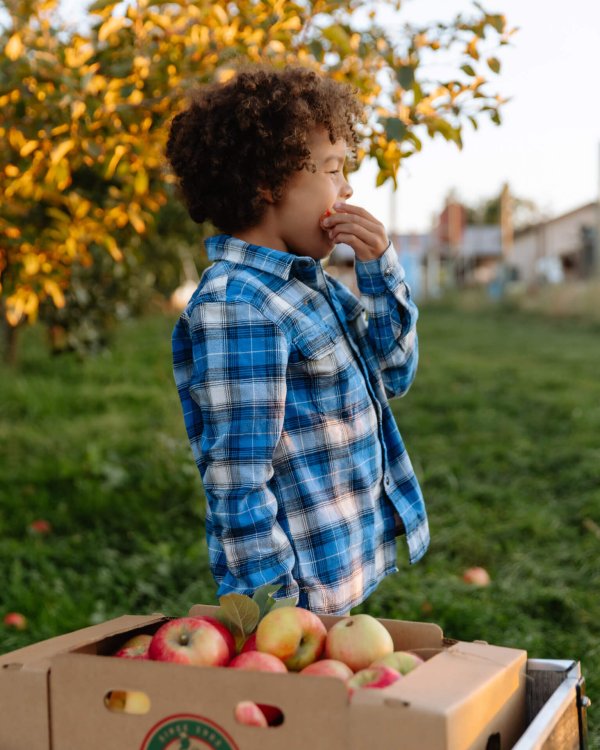 Local, Iconic, and Delicious Washington State Food to Try