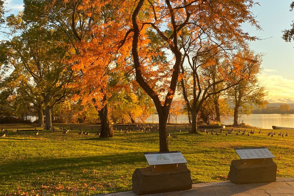 Things to Do in Tri Cities: Richland, Pasco, and Kennewick