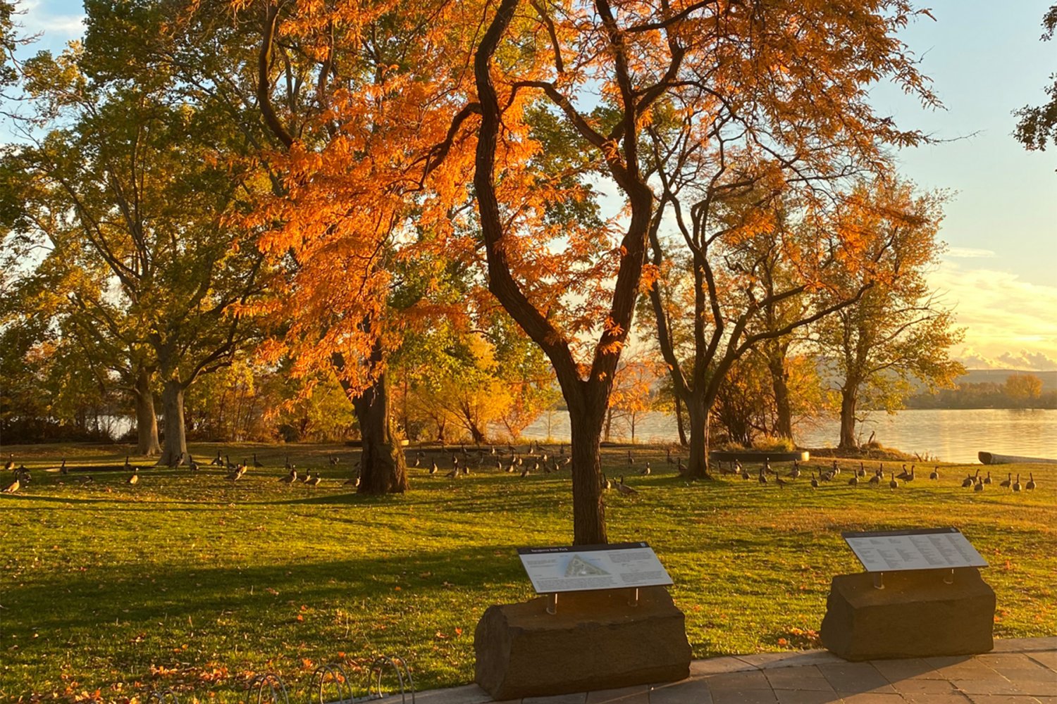 Things to Do in Tri Cities: Richland, Pasco, and Kennewick