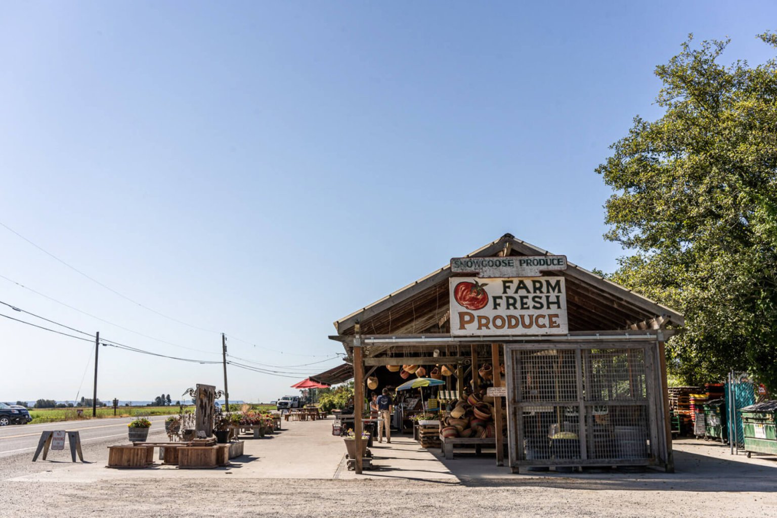 Taste Washington State Food: From Seafood to Apples and Wine