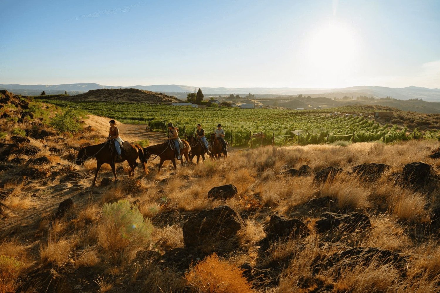 Best Time to Visit Washington State: Climate and Seasons