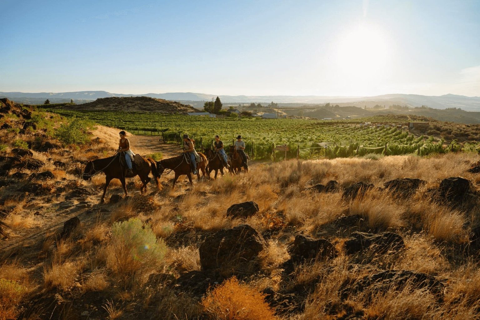 Best Time to Visit Washington State: Climate and Seasons