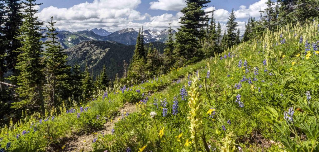 Outdoor Activities in Washington State: Adventures in Nature