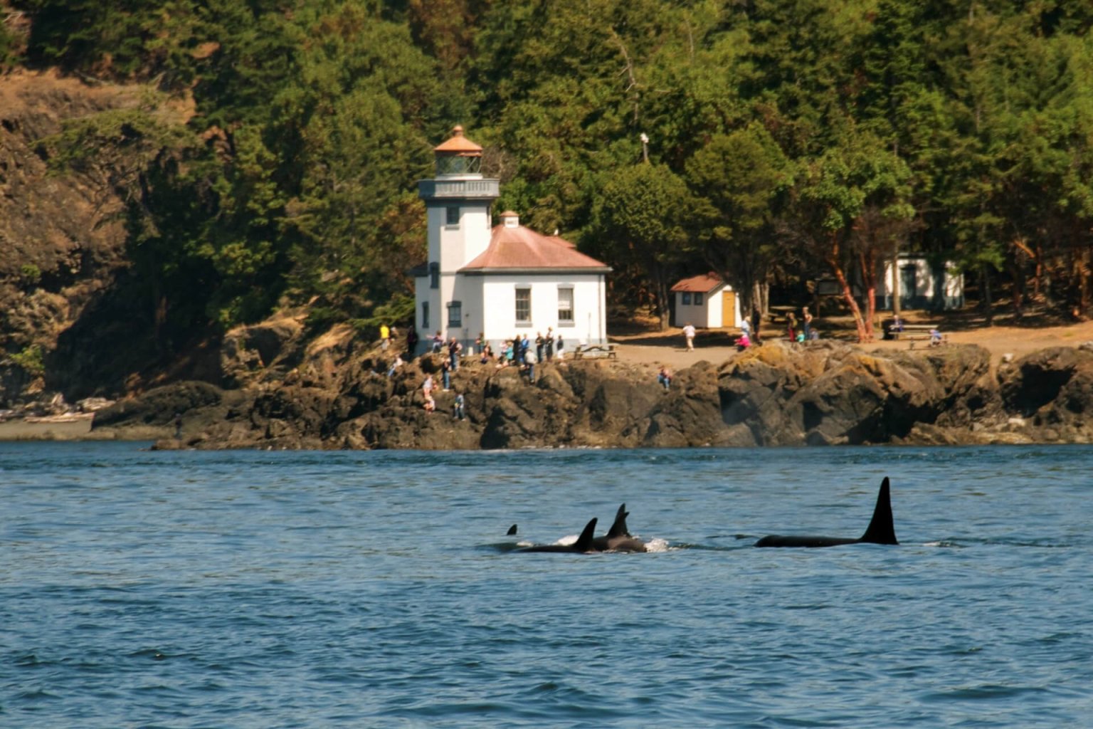 Washington State Regions | State of Washington Tourism