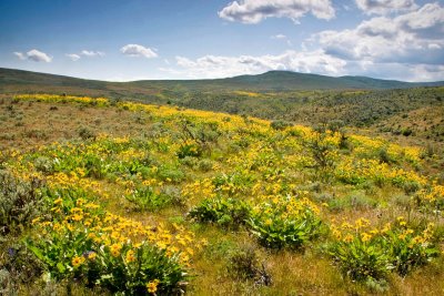 Best Time to Visit Washington State: Climate and Seasons