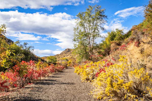 Washington State Outdoors: Adventures in Nature Await
