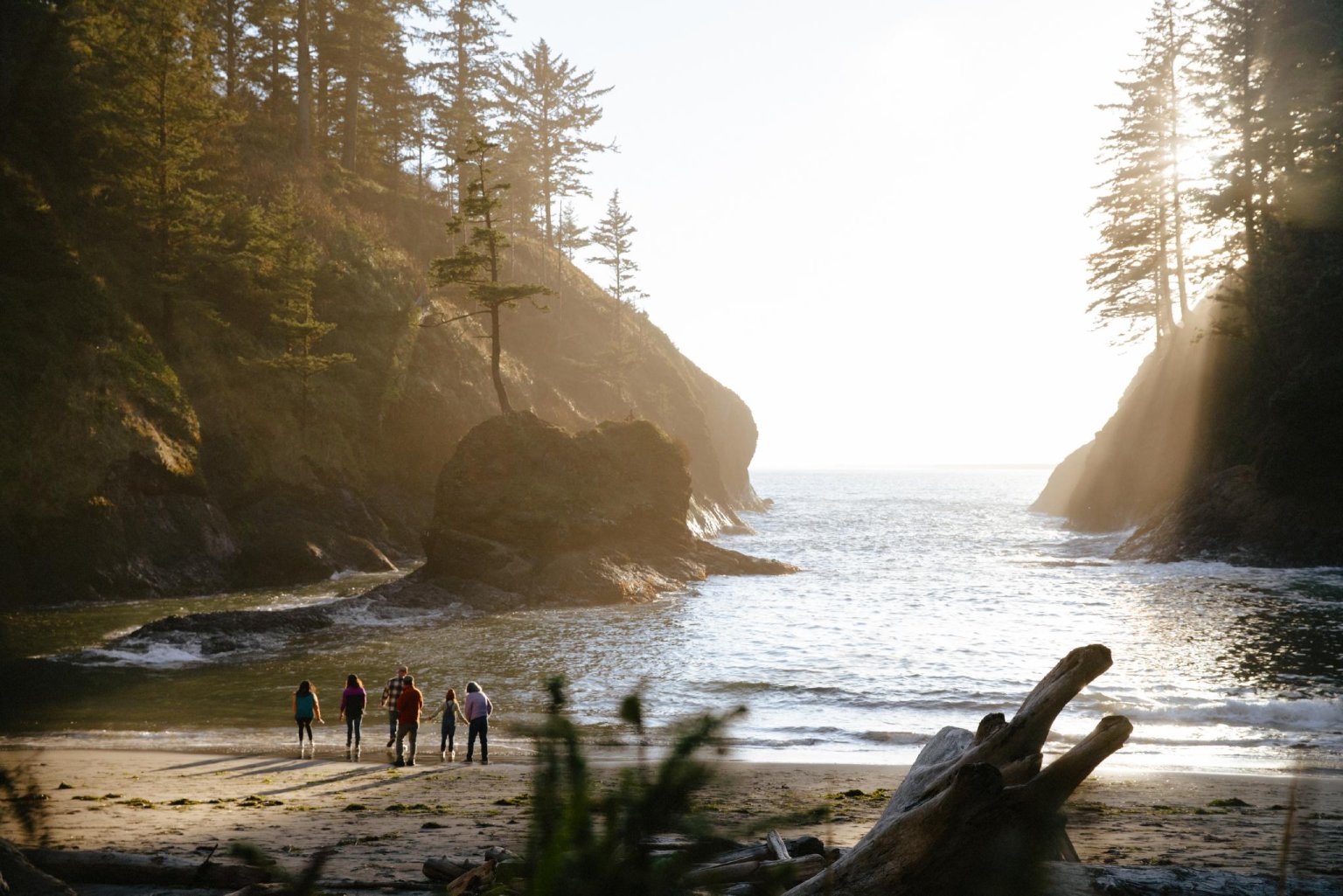 10+ Ideas for Family Vacations in Washington State