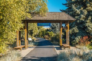 Pullman Travel Guide: Things to Do in Pullman WA