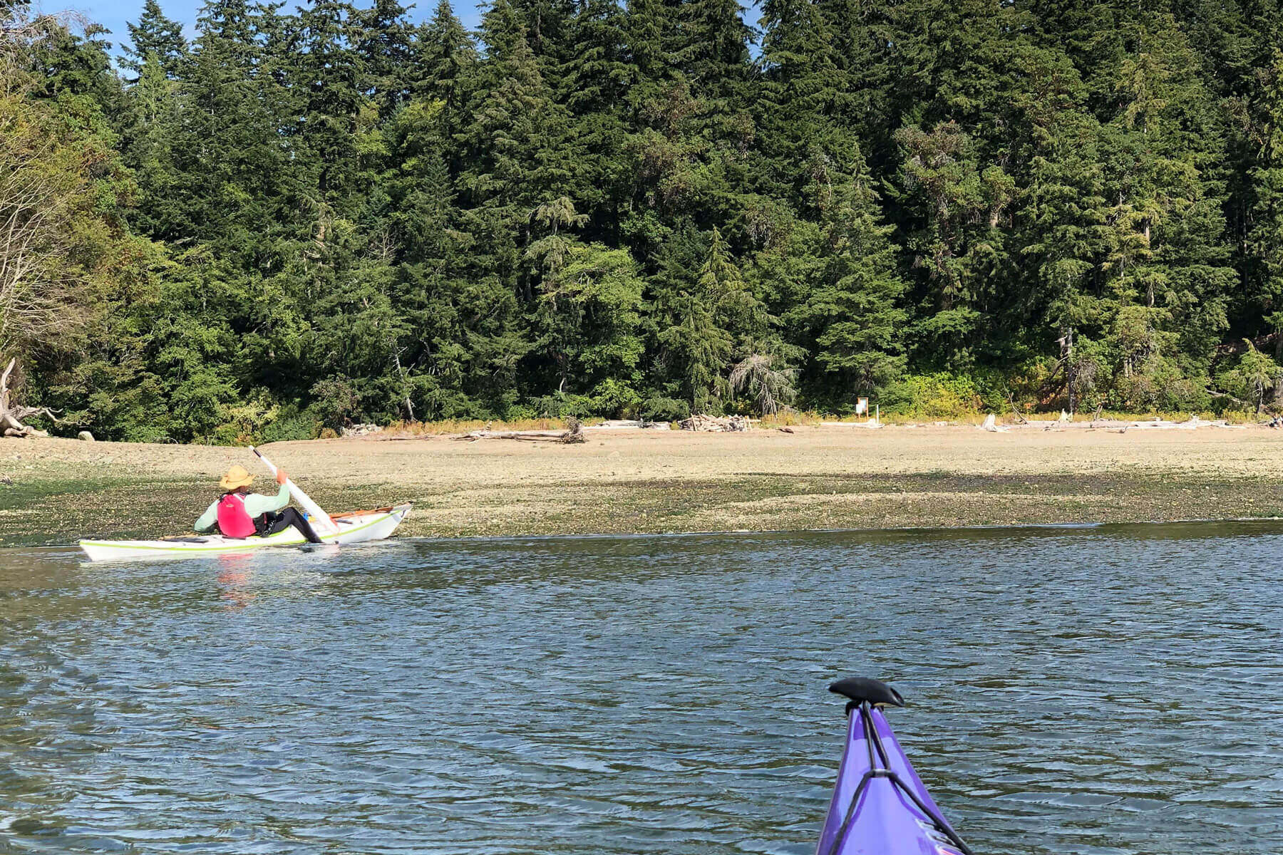 Discover the Beauty of Washington Water Trails