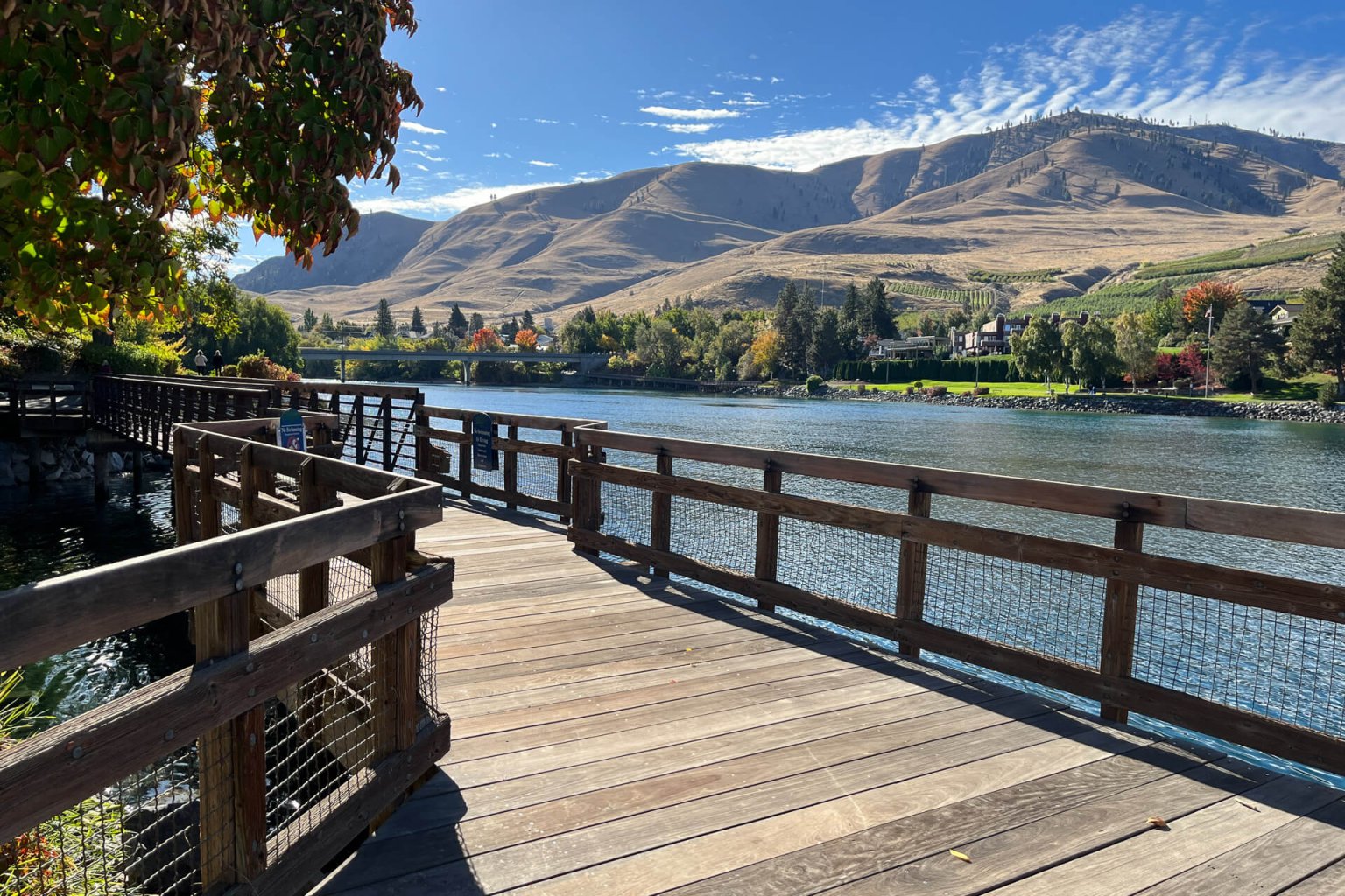 10+ Ideas for Family Vacations in Washington State