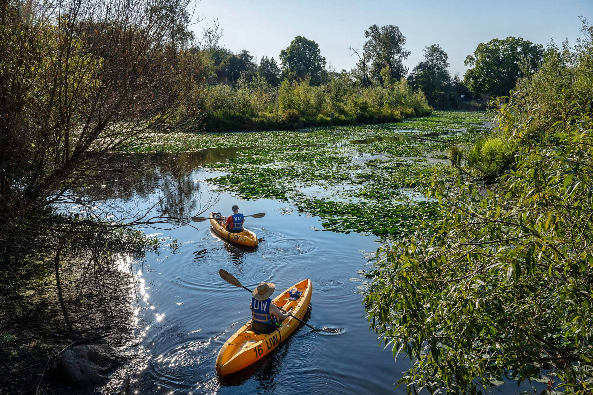 Discover the Beauty of Washington Water Trails
