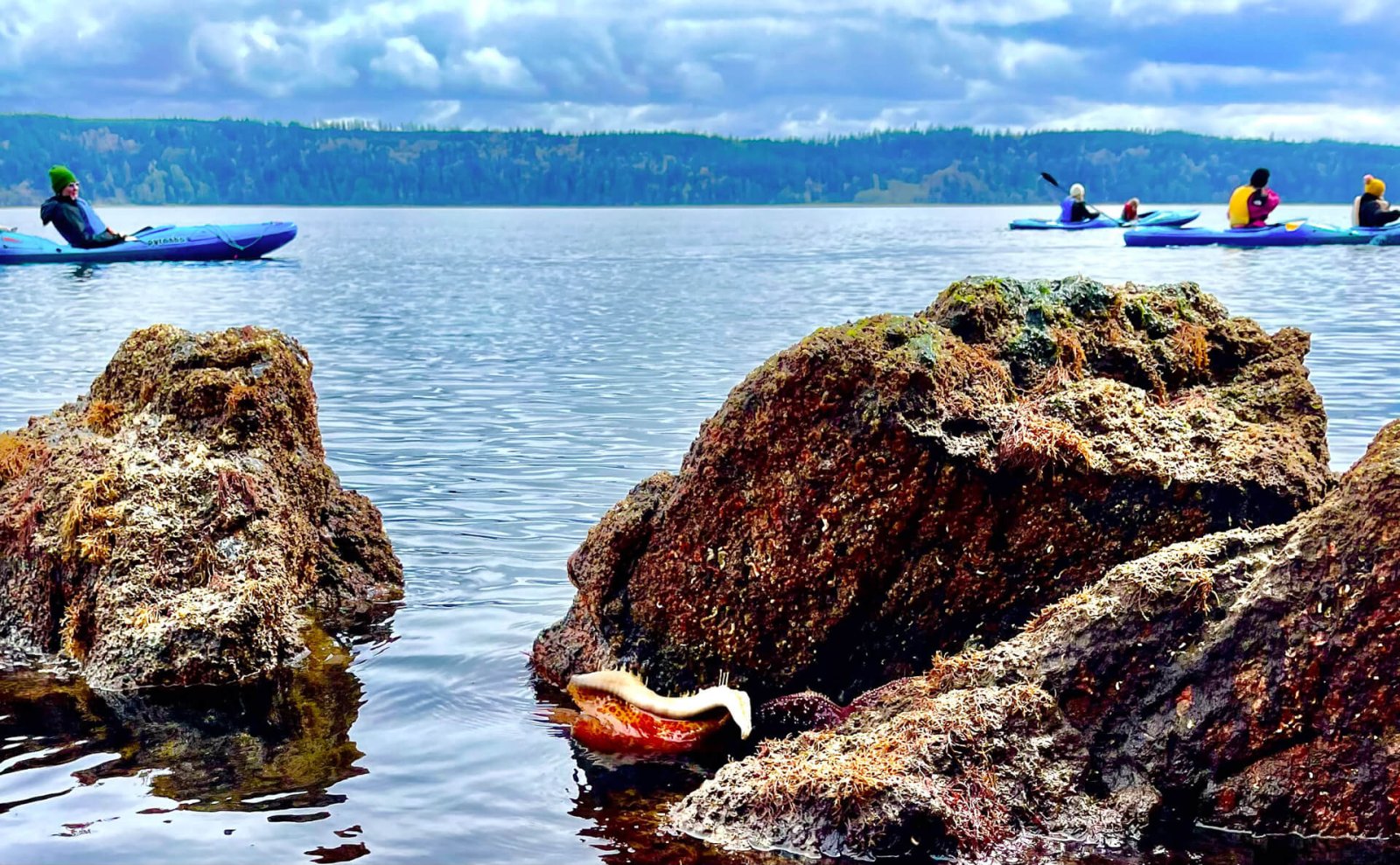 Discover the Beauty of Washington Water Trails