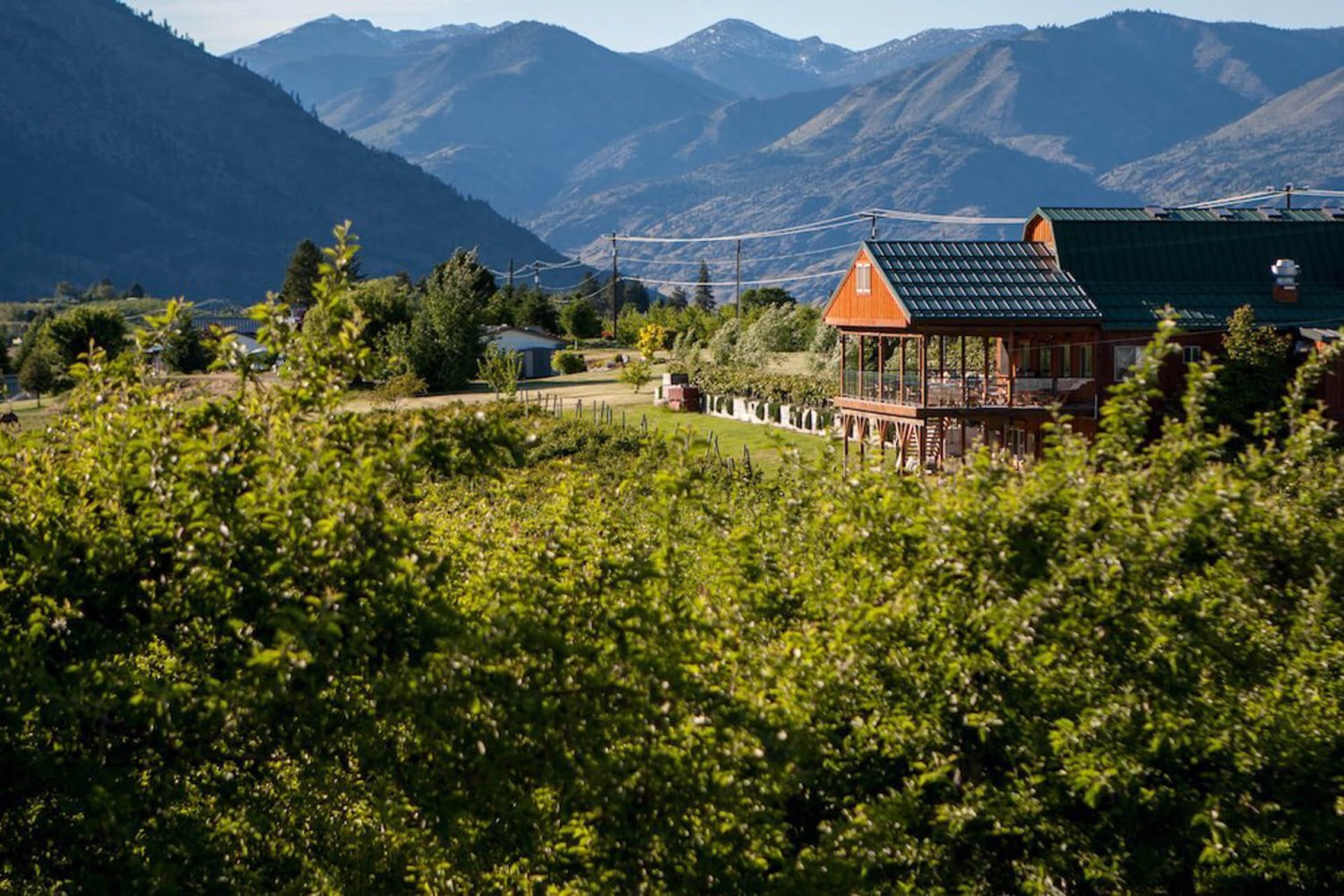 U-Pick Farms in Washington: Where to Pick Berries and More