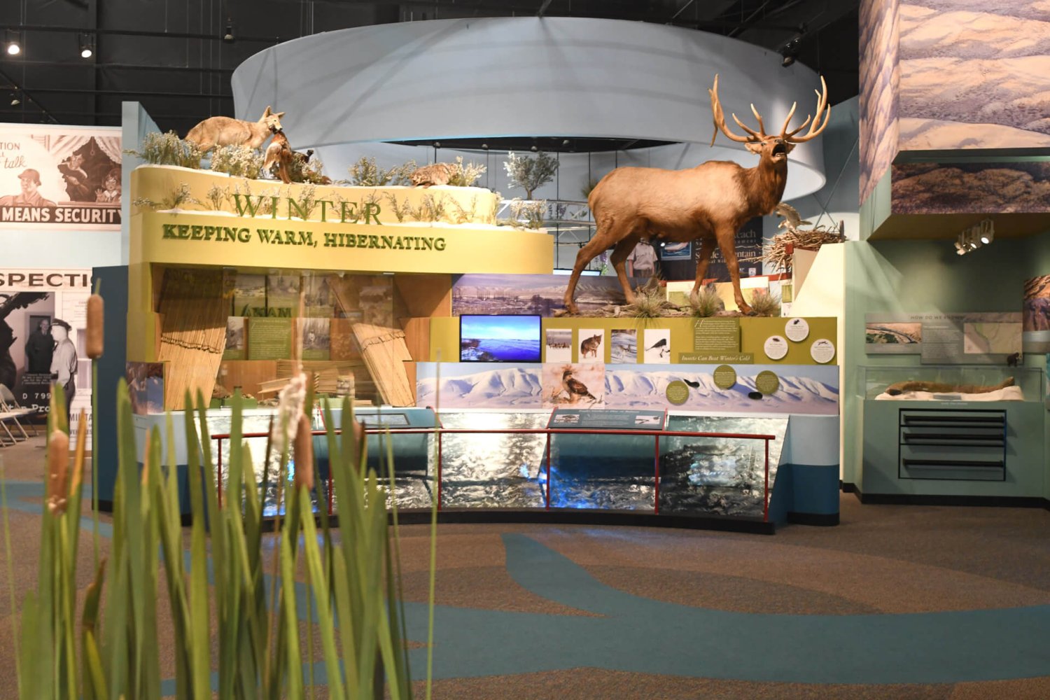 Things to Do in Tri Cities with Kids: STEM Adventures