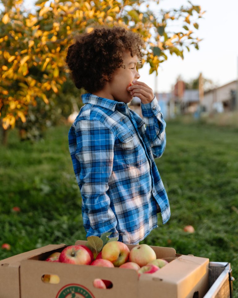 U-Pick Farms in Washington: Where to Pick Berries and More