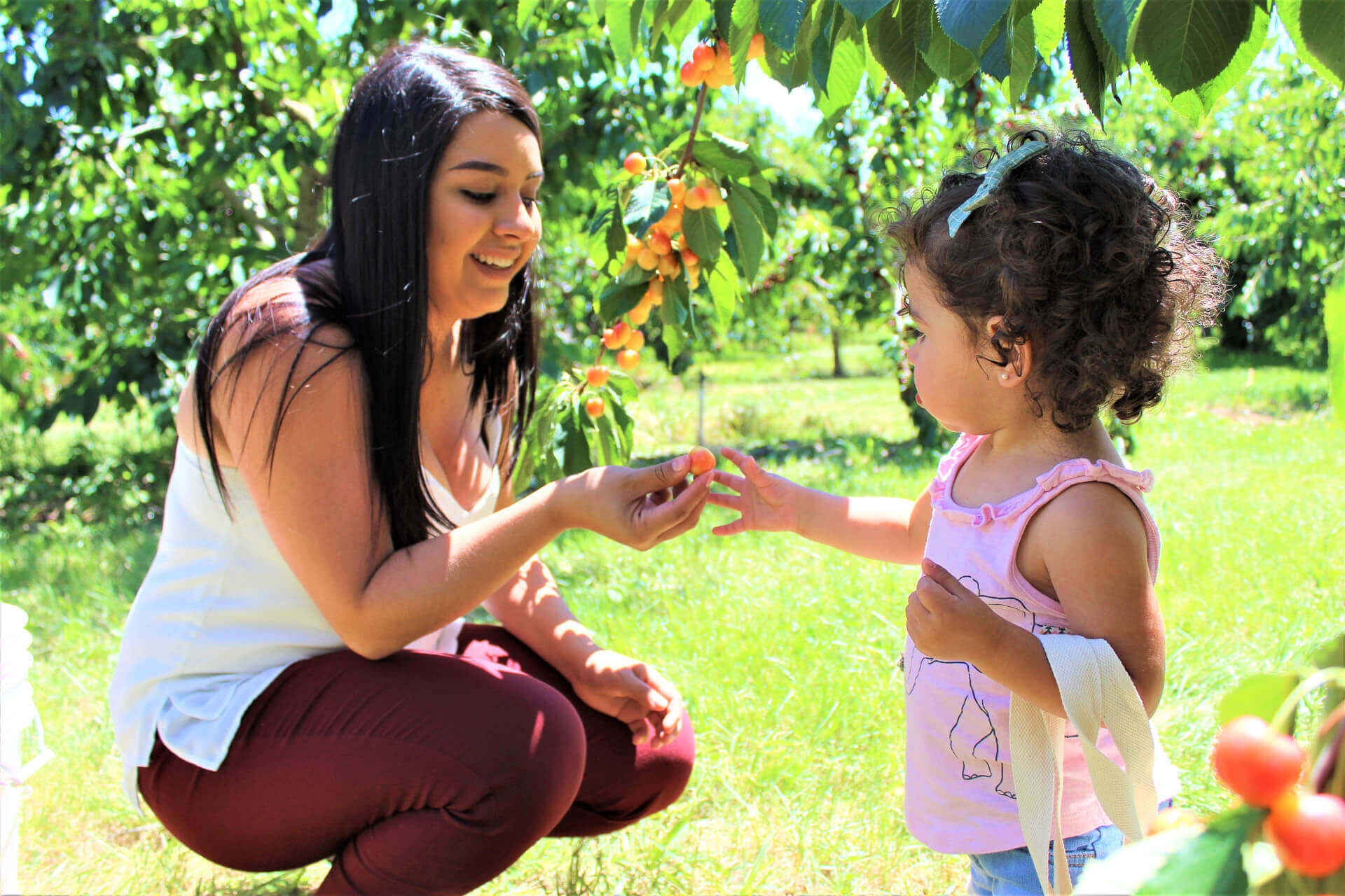 U-Pick Farms in Washington: Where to Pick Berries and More