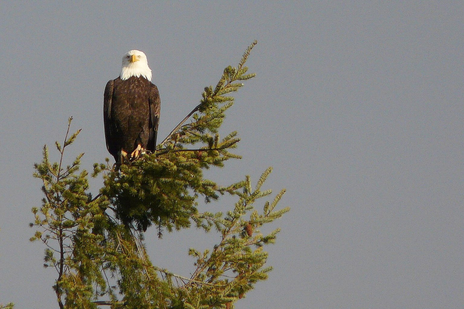10 Washington State Wildlife Refuges for Nature Lovers