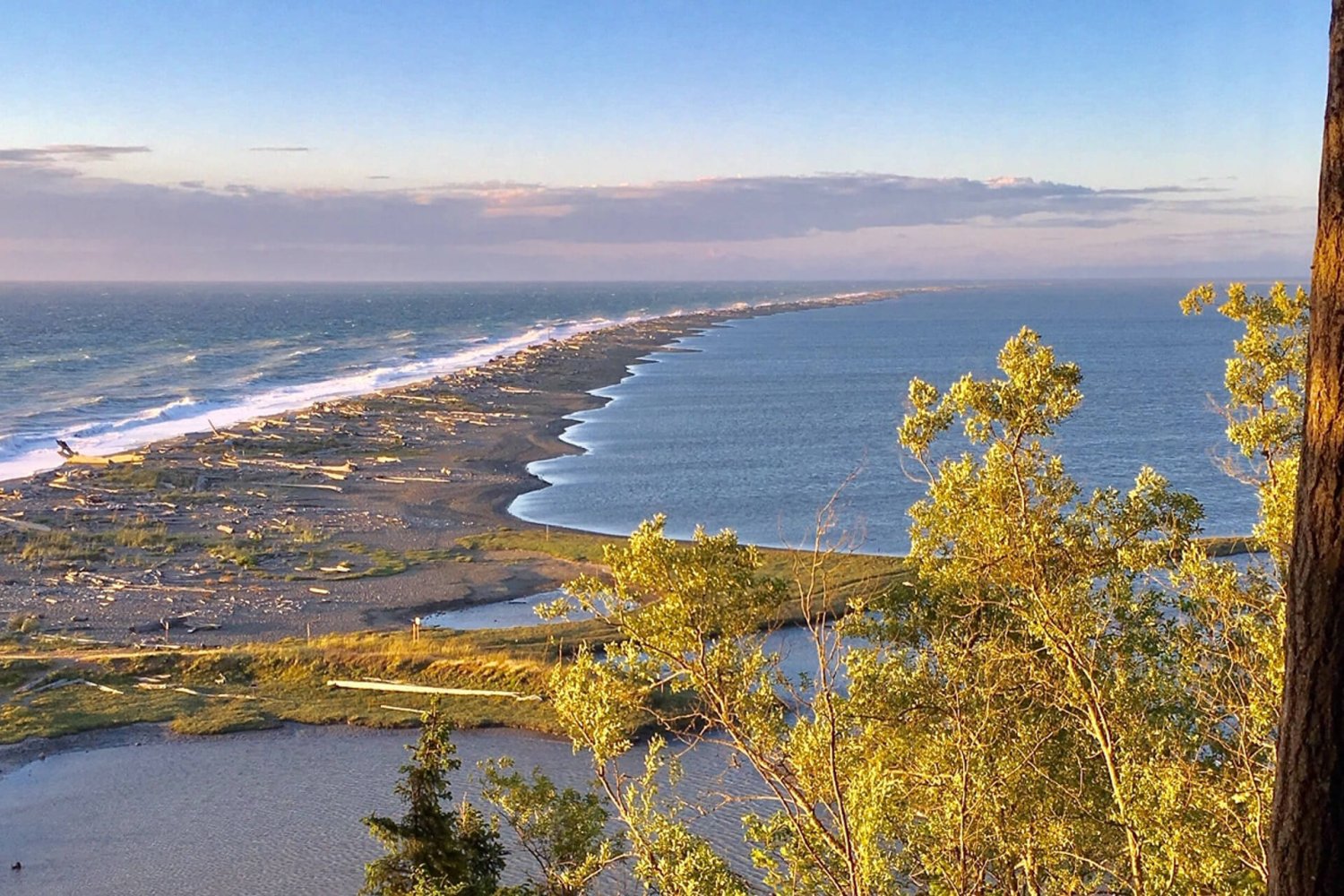 10 Washington State Wildlife Refuges for Nature Lovers