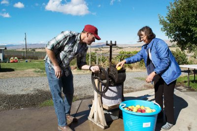 U-Pick Farms in Washington: Where to Pick Berries and More
