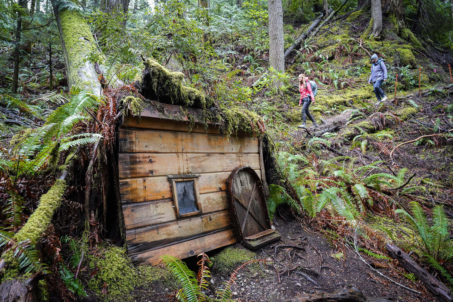 Kitsap Peninsula Road Trip: Things to Do in Puget Sound